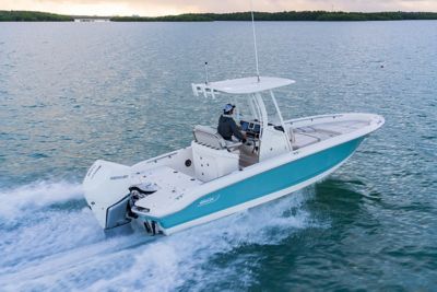 Boston Whaler 250 Dauntless Boston Whaler